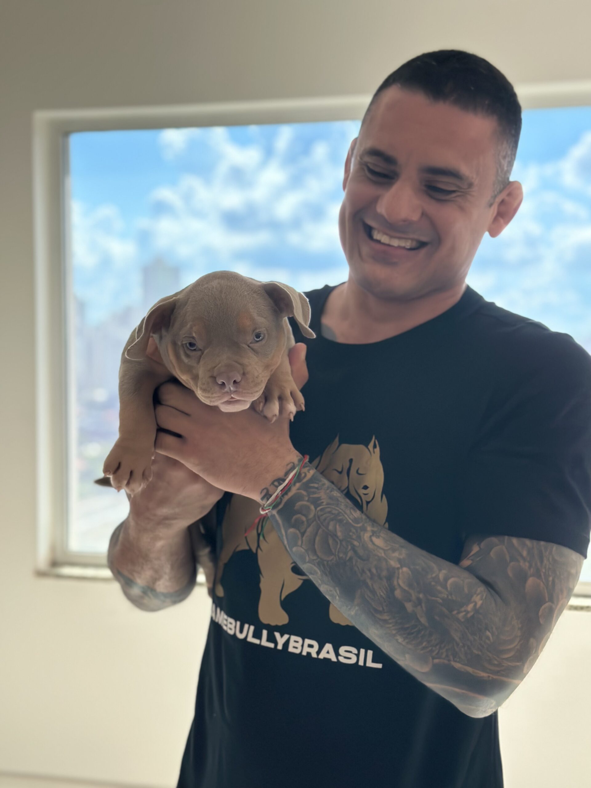Ame Bully Brasil – Dog do afeto